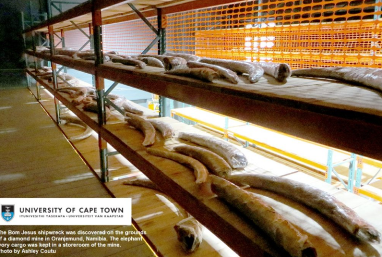 Un relitto portoghese del 1533 rivela come i colonialisti hanno ...